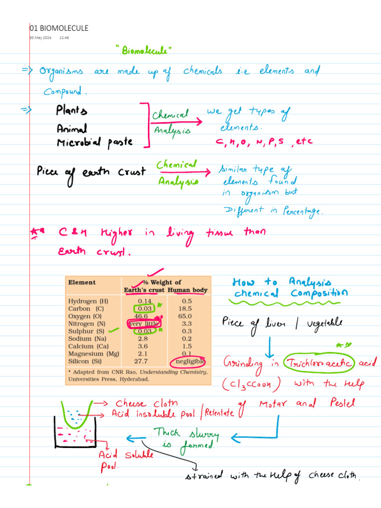 Biomolecule 01' | PDF