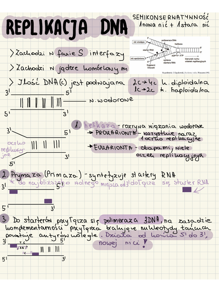 Replikacja DNA | PDF