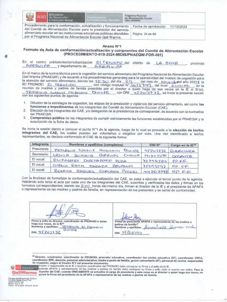 Cae Pdf