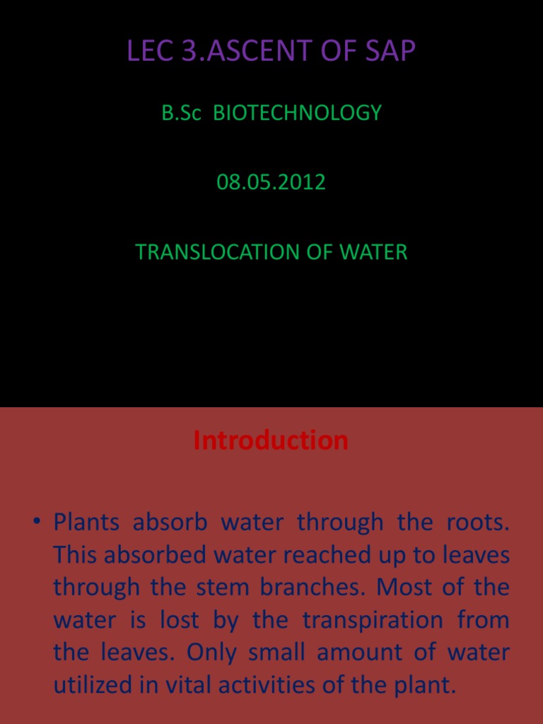 Lec 3.ascent of Sap | PDF | Plant Stem | Tissue (Biology)