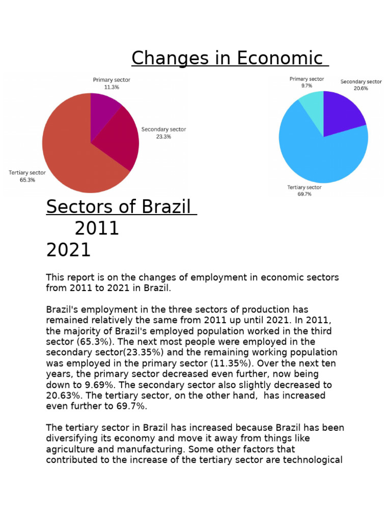 Economic Sectors of Brazil | PDF