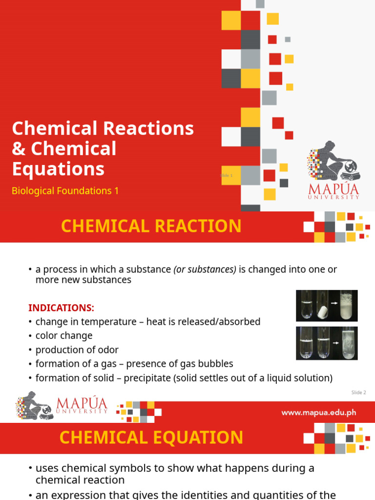 CO2.2 Chemical Reactions and Chemical Equations - Tagged | PDF ...