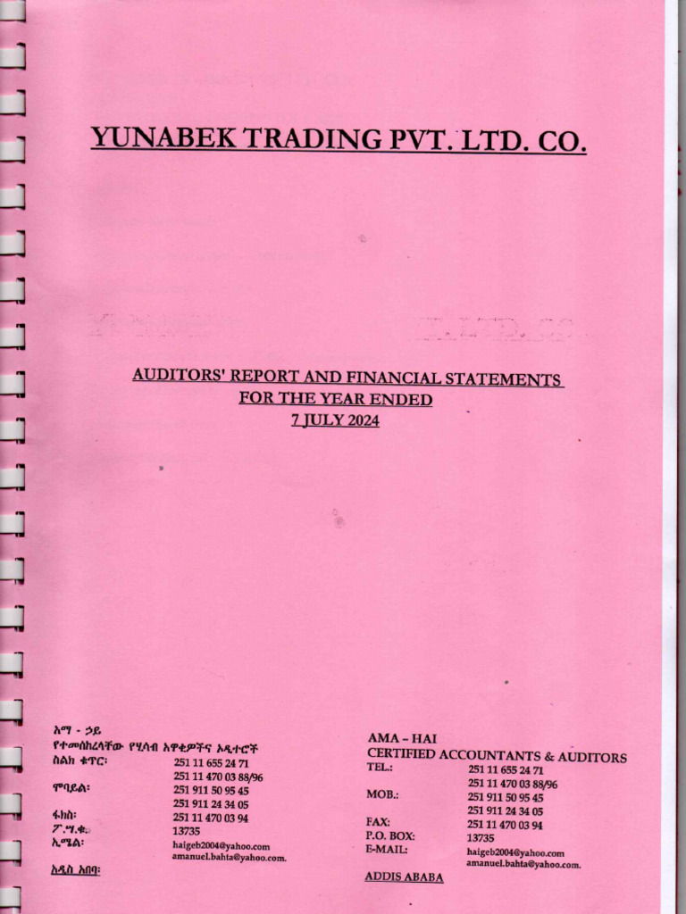 2024 Audited Financial Report | PDF
