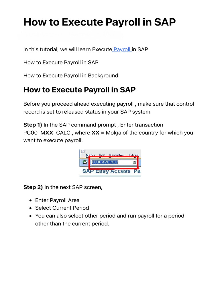 SAP Payroll Execution Guide | PDF | Computer Programming | Software