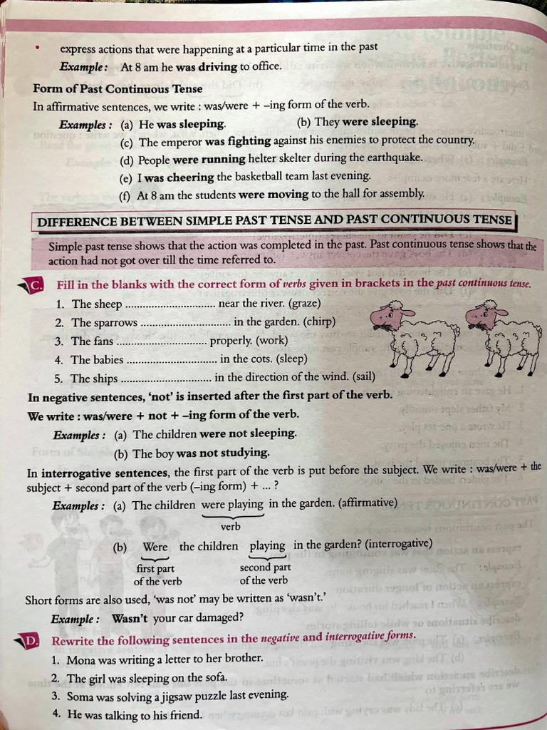 Class 6 Grammar Revision | PDF