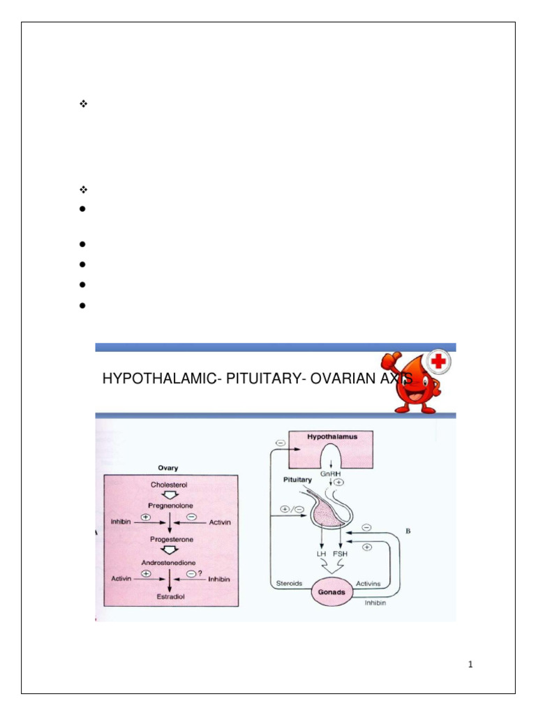 Menstruation and Their Regulation by Endocrine Gland | PDF | Menstrual ...