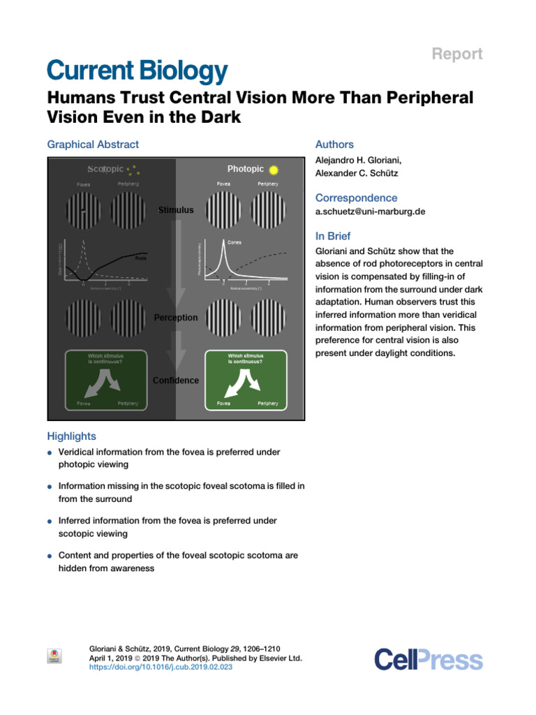 Humans Trust Central Vision More Than Peripheral Vision Even in The ...