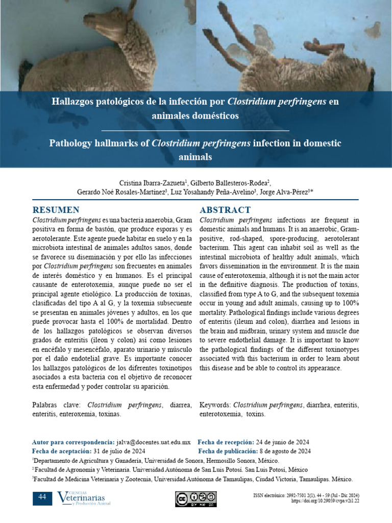 22 CVPA Ibarra-Zazueta | PDF | Diarrea | Biología