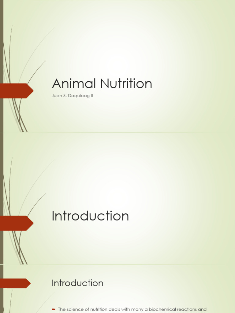 Understanding Animal Nutrition Basics | PDF | Water | Seed