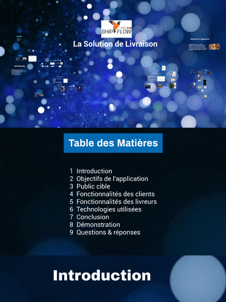 Shipflow PPT Final | PDF