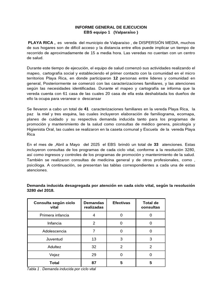INFORME DE EJECUCION Ebs Equipo 1 Valpa | PDF