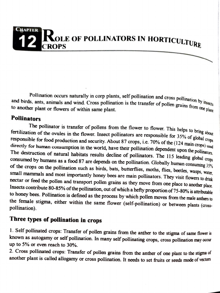 Importance of Pollinators in Crops | PDF | Pollination | Honey Bee