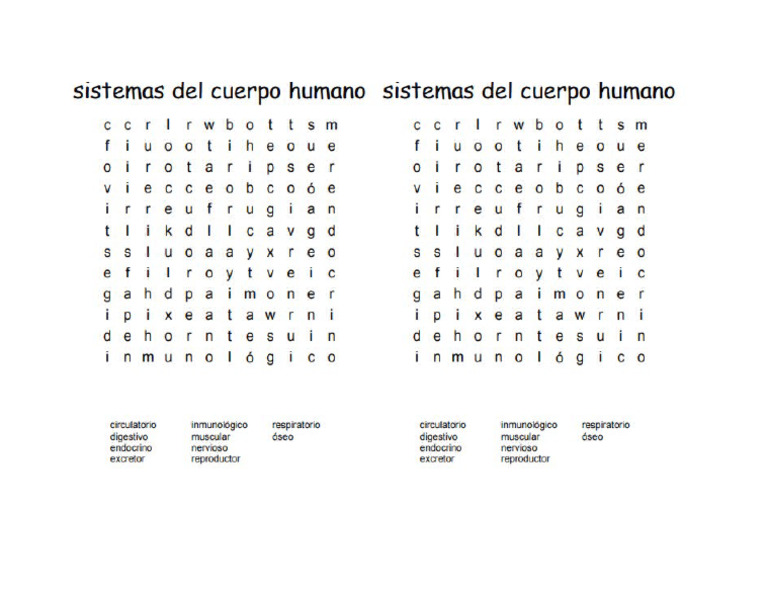 Sopa de Letras Cuerpo Humano | PDF