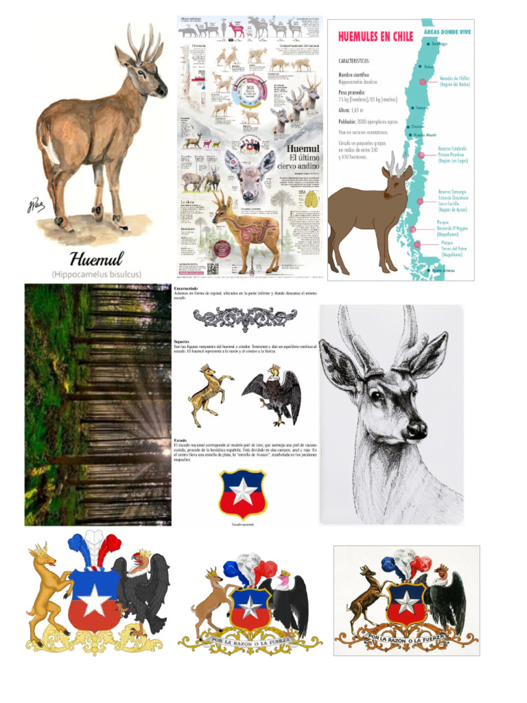 Huemul | PDF