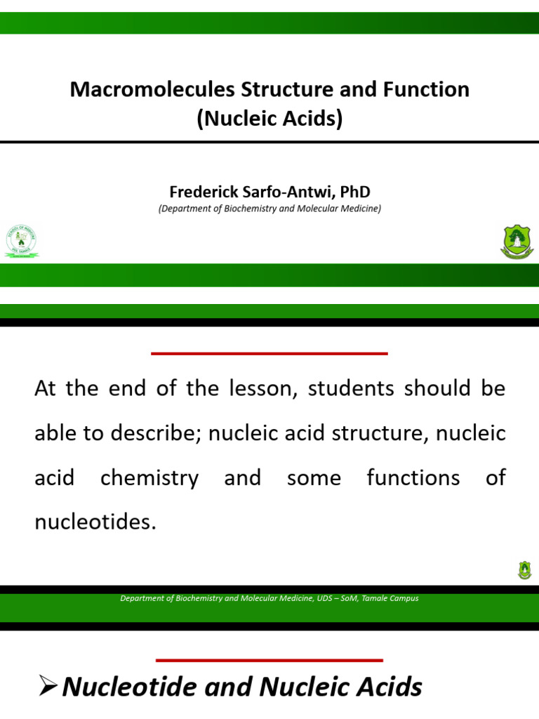 Nucleic Acids: Structure and Function | PDF | Nucleic Acids | Nucleotides