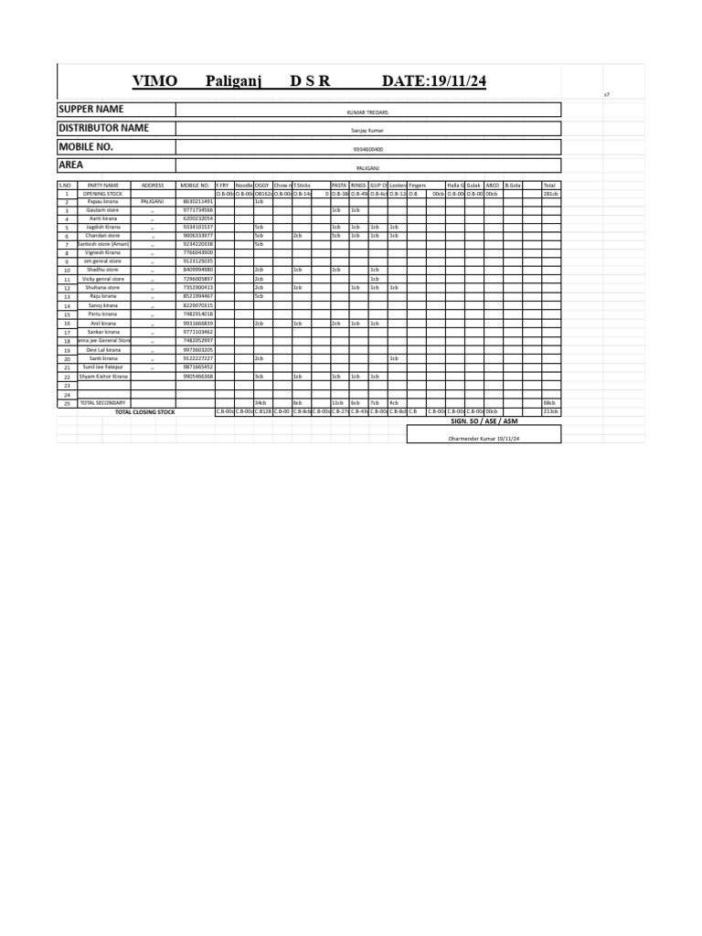 Daily Reporting Format.xlsx-1 | PDF