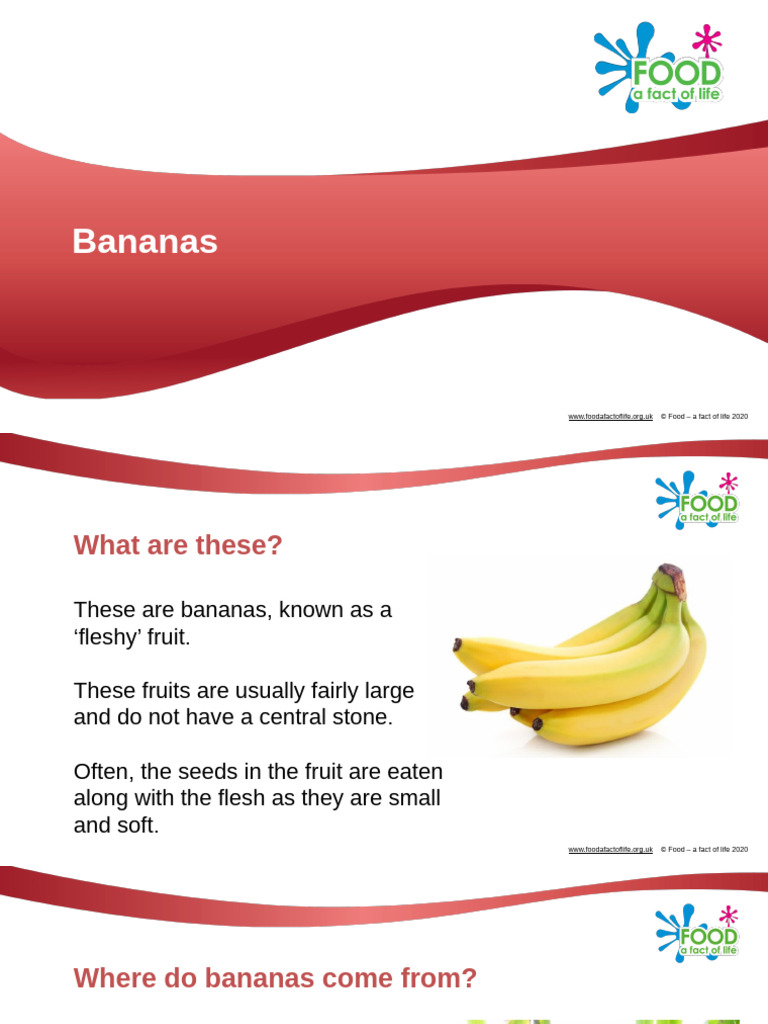 Bananas: Facts, Uses, and Origins | PDF