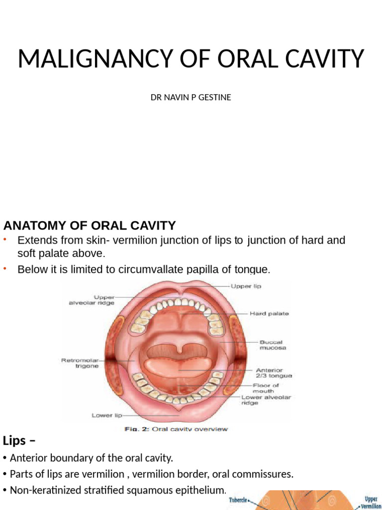 Oral Cavity Malignancy Overview | PDF | Tongue | Radiation Therapy