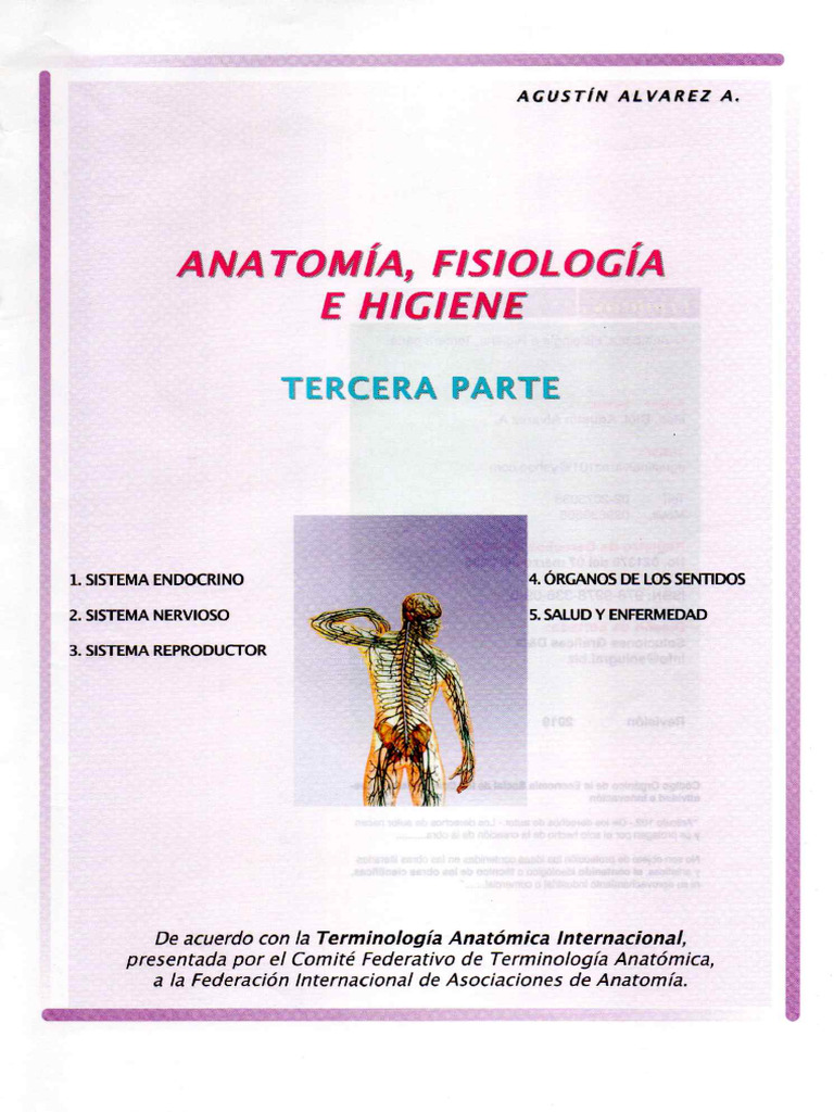Anatomia 3 Parte | PDF