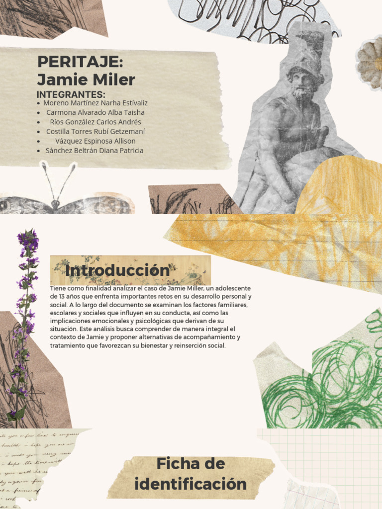 Peritaje Caso de Jamie Miller | PDF | Comportamiento | Las emociones
