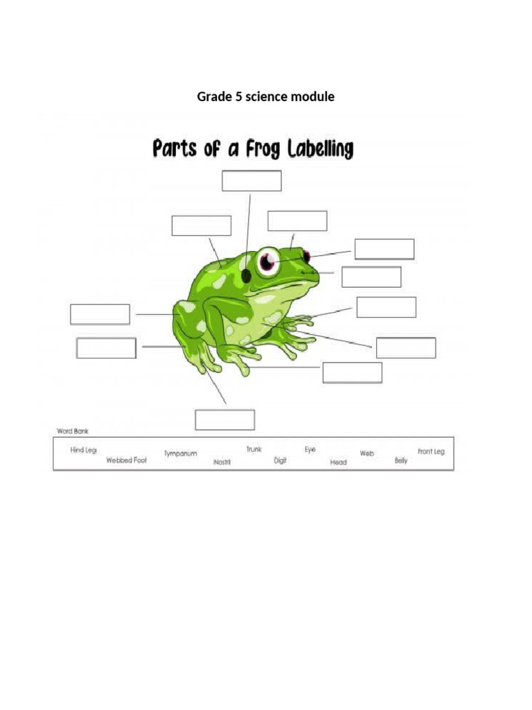 Grade 5 Science Module | PDF