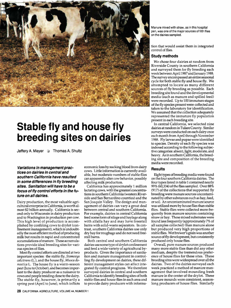 Stable Fly and House Fly Breeding Sites on Dairies | PDF | Fly | Dairy