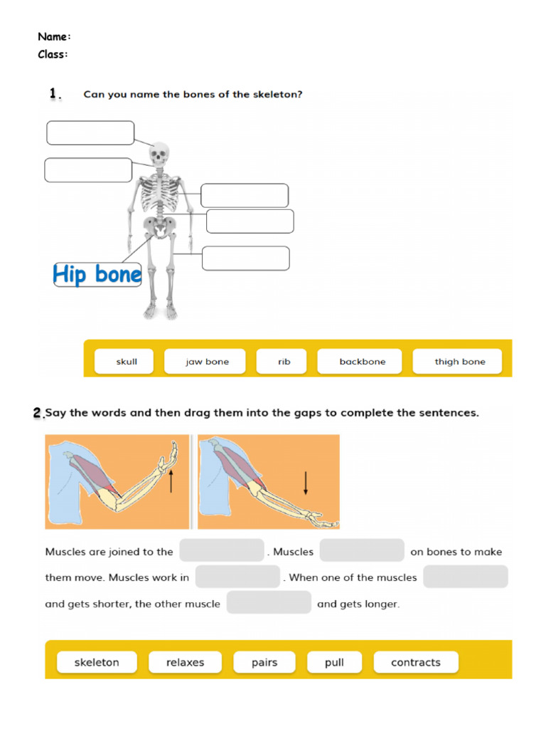 Unit 1 Practice Test | PDF