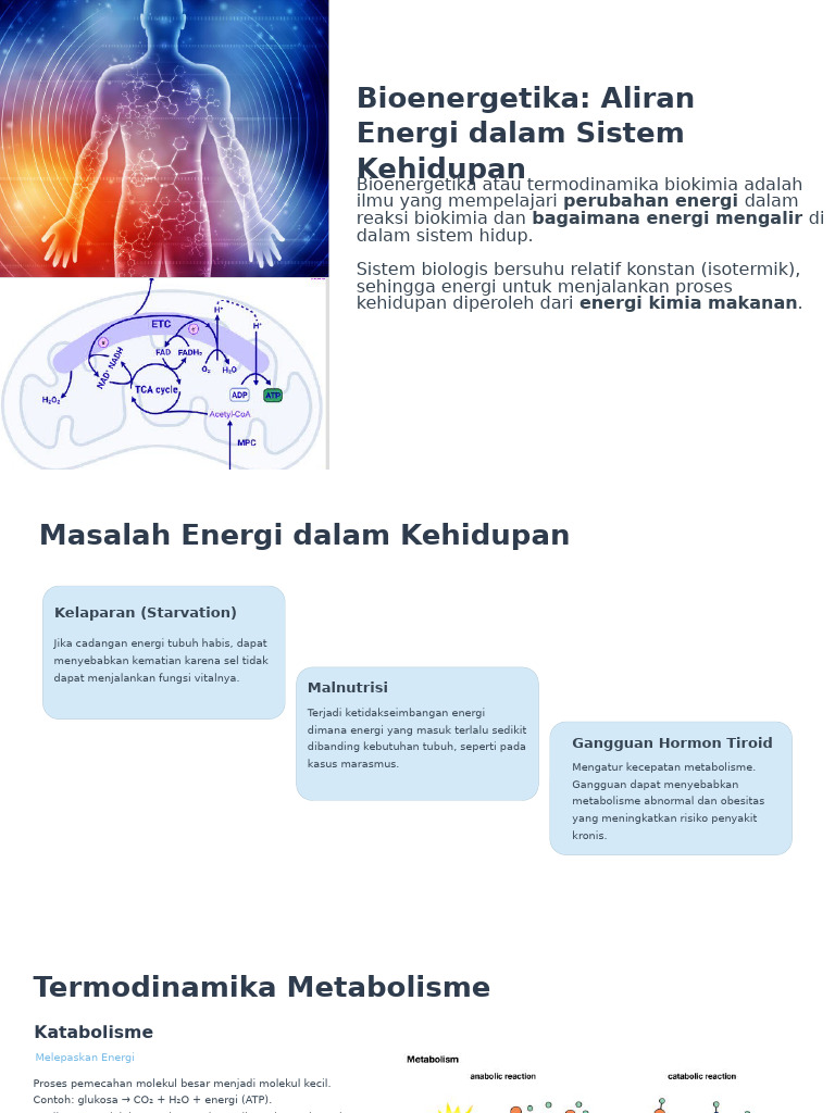 Energi dalam Bioenergetika dan Metabolisme | PDF