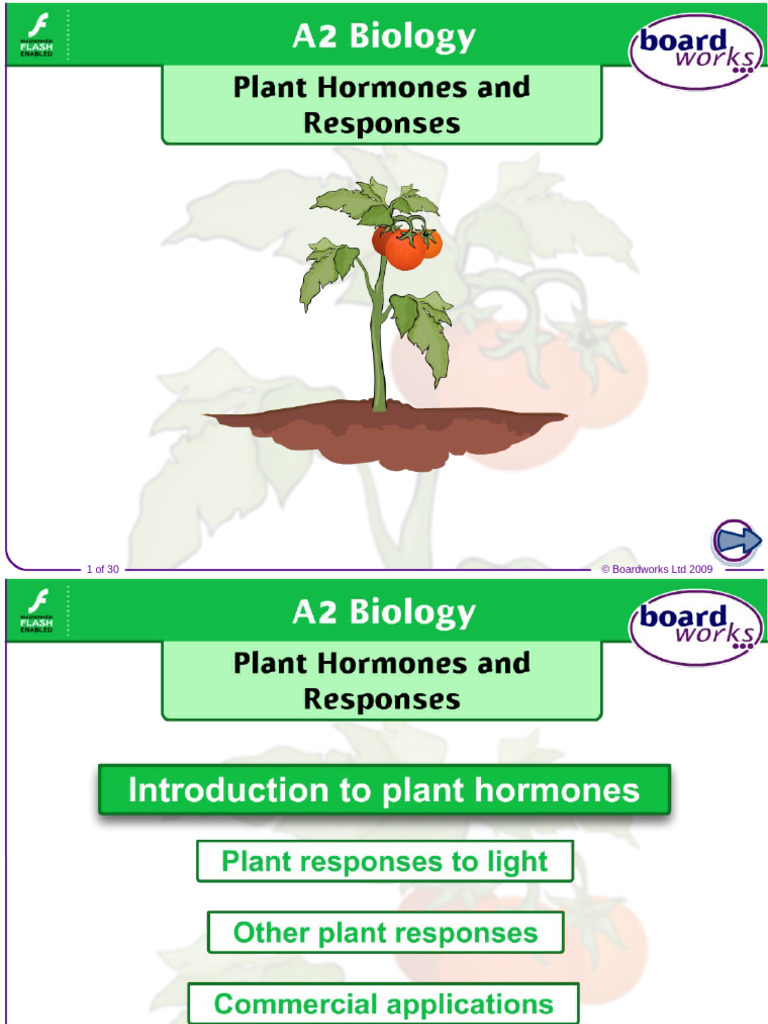 Plant Hormones and Growth Responses | PDF | Auxin | Root