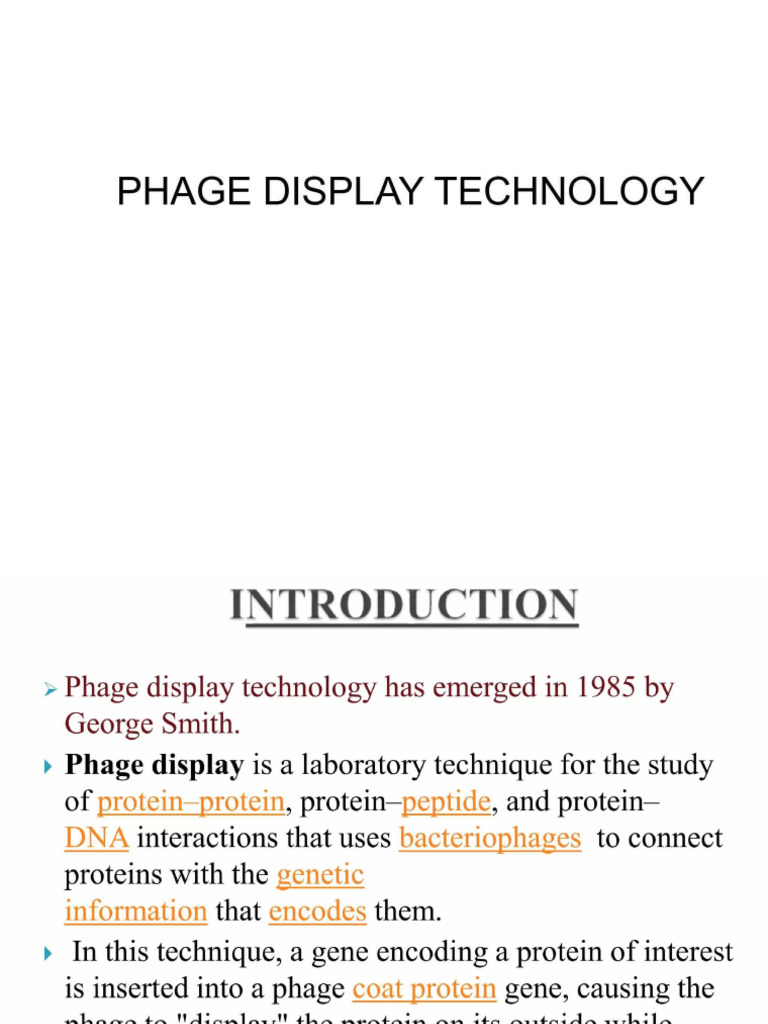 Phage Display | PDF