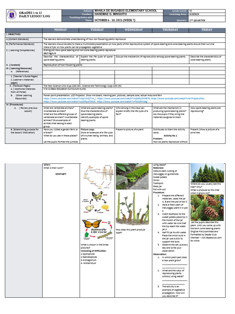 Science Lesson on Plant Reproduction | PDF | Fern | Plants