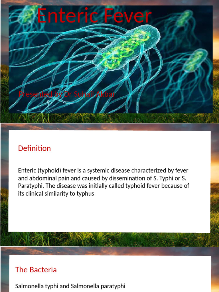 Enteric Fever: Causes, Symptoms, Diagnosis | PDF