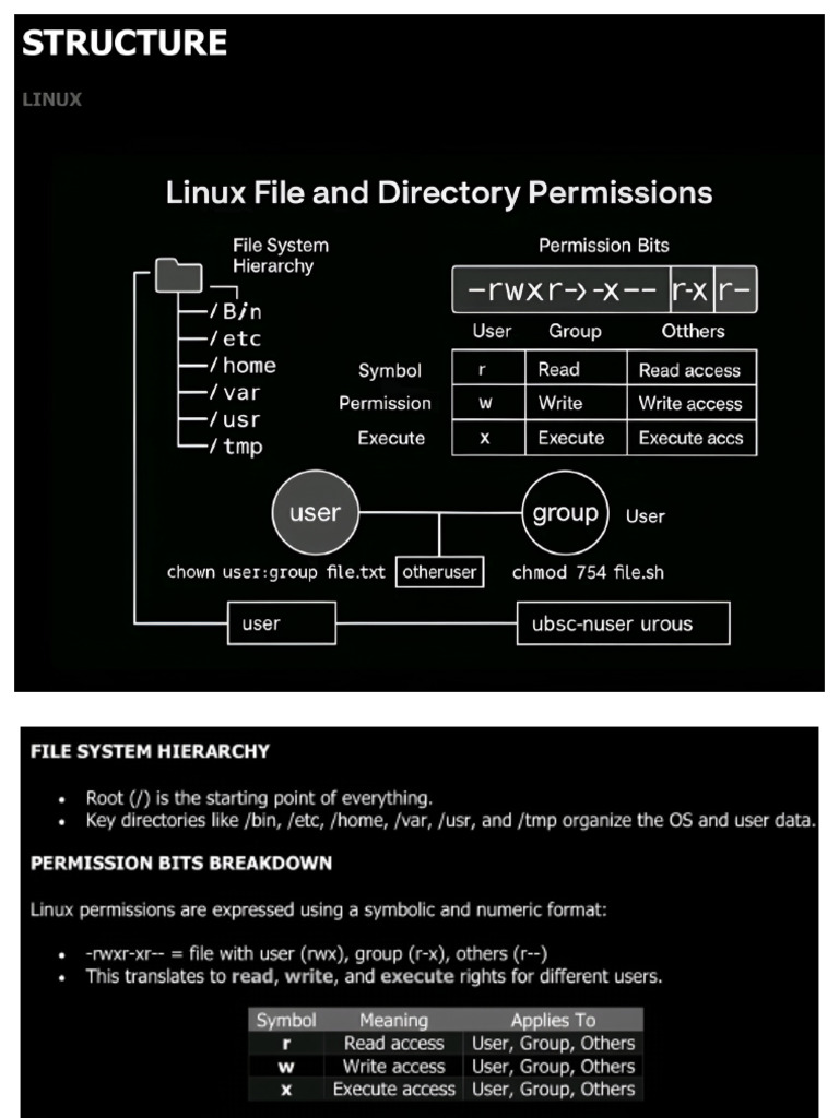 Linux File & Directory Permissions | PDF