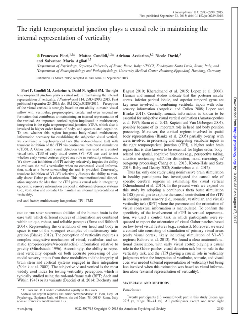 The Right Temporo Parietal Junction Play | PDF | Visual Cortex | Visual ...