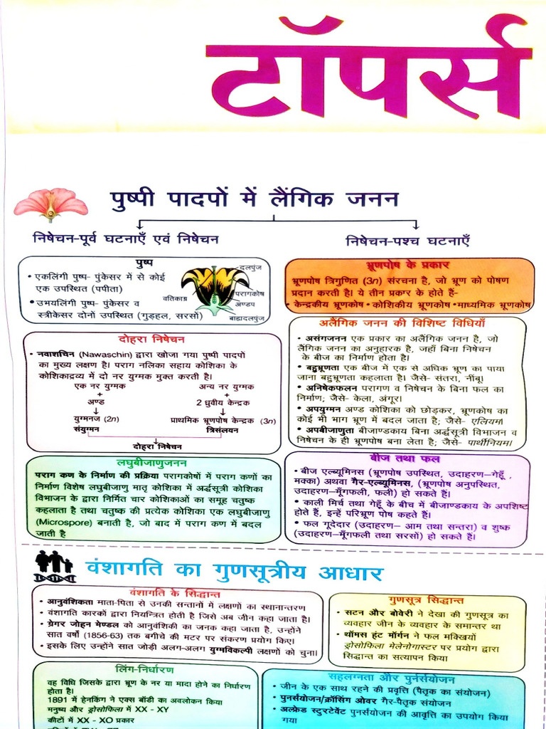 Bio Topper Chart | PDF