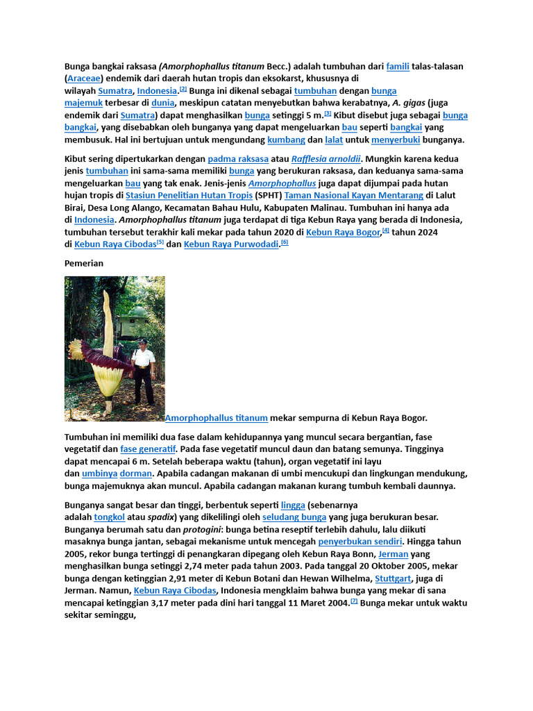 Bunga Bangkai Raksasa | PDF