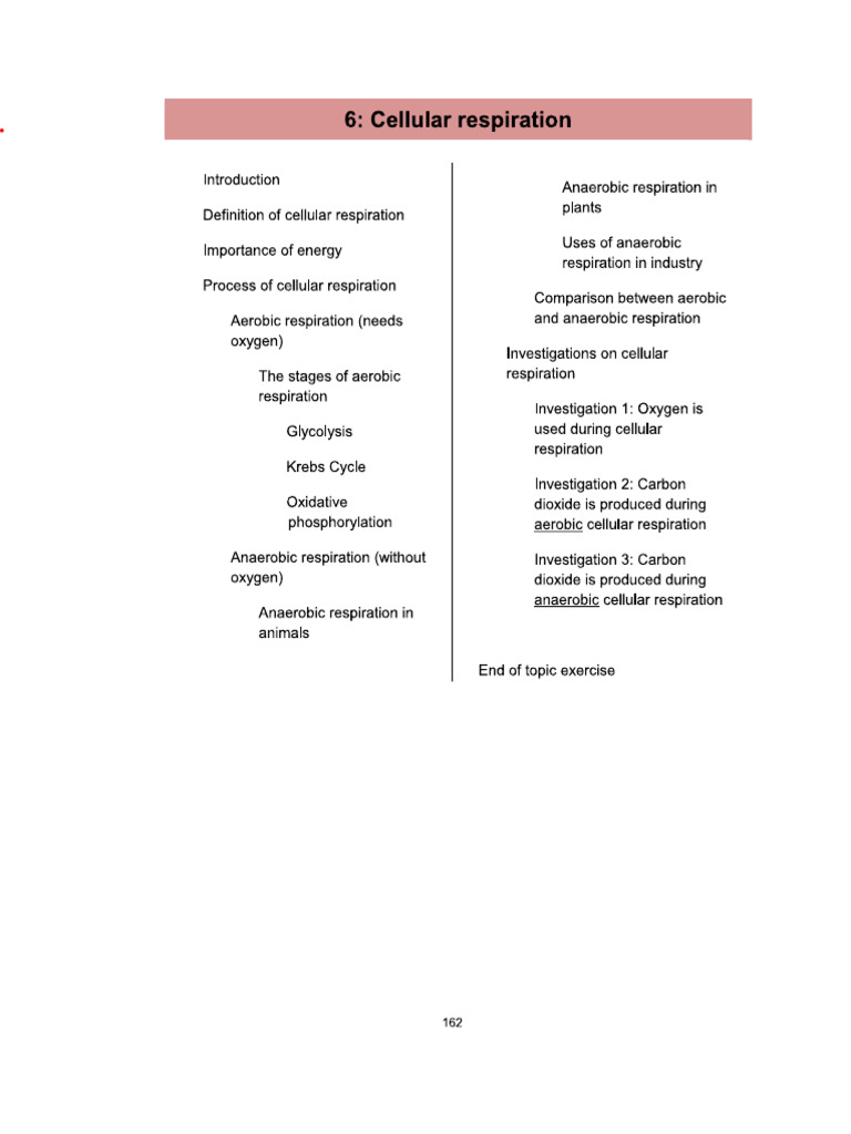 Cellular Respiration | PDF