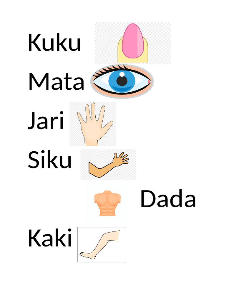 Kuku | PDF