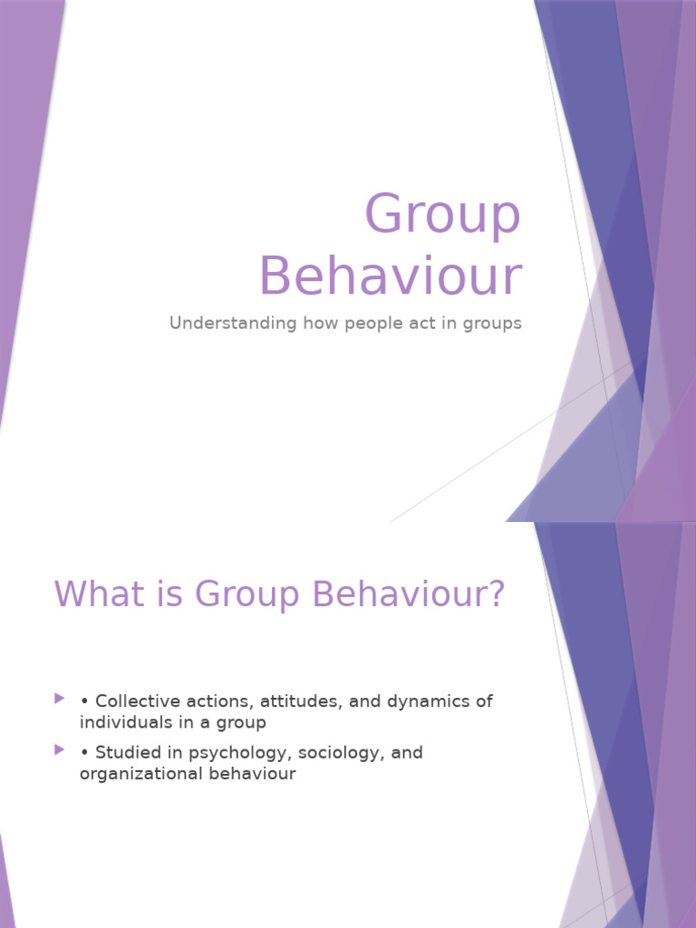 Group Behaviour Presentation Expanded | PDF