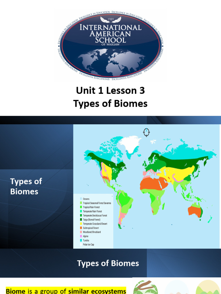 Understanding Types of Biomes | PDF | Forests | Rainforest