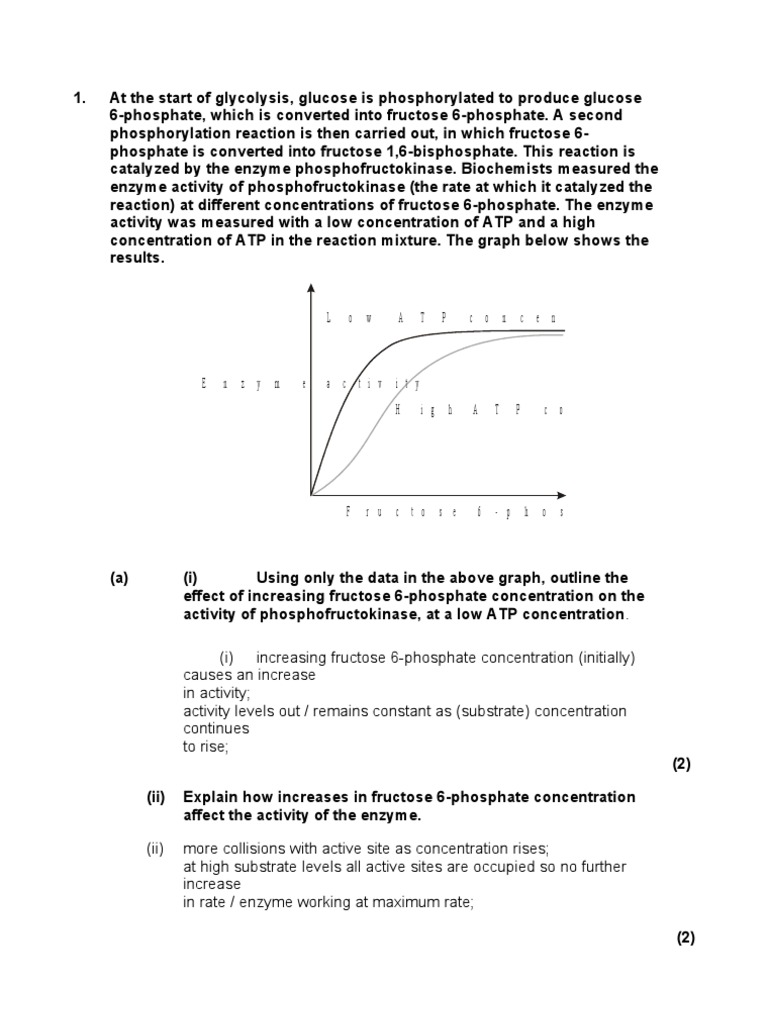 Questions and Mark Scheme Enzymes 02 To 08 SL N HL | PDF | Active Site ...