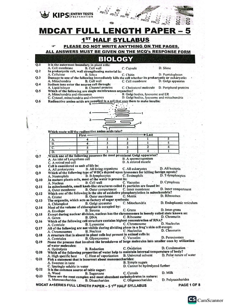 Kips Flp-1 Year Full Book by #D.L.A | PDF