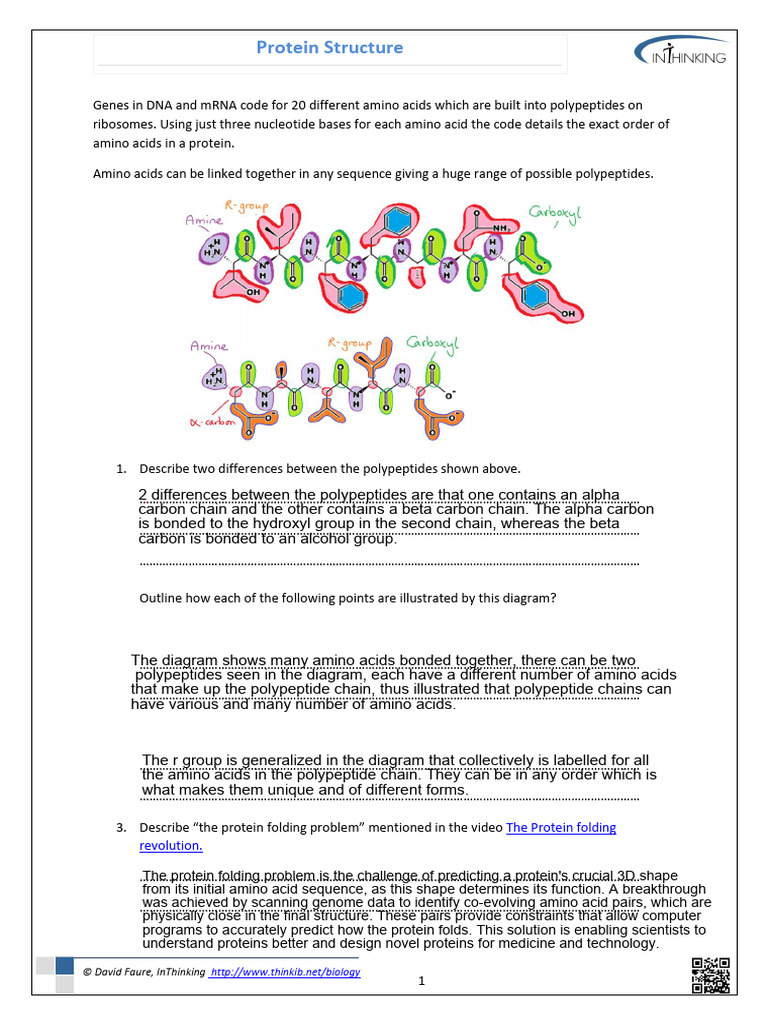 Understanding Protein Structure and Folding | PDF | Proteins | Genetic Code