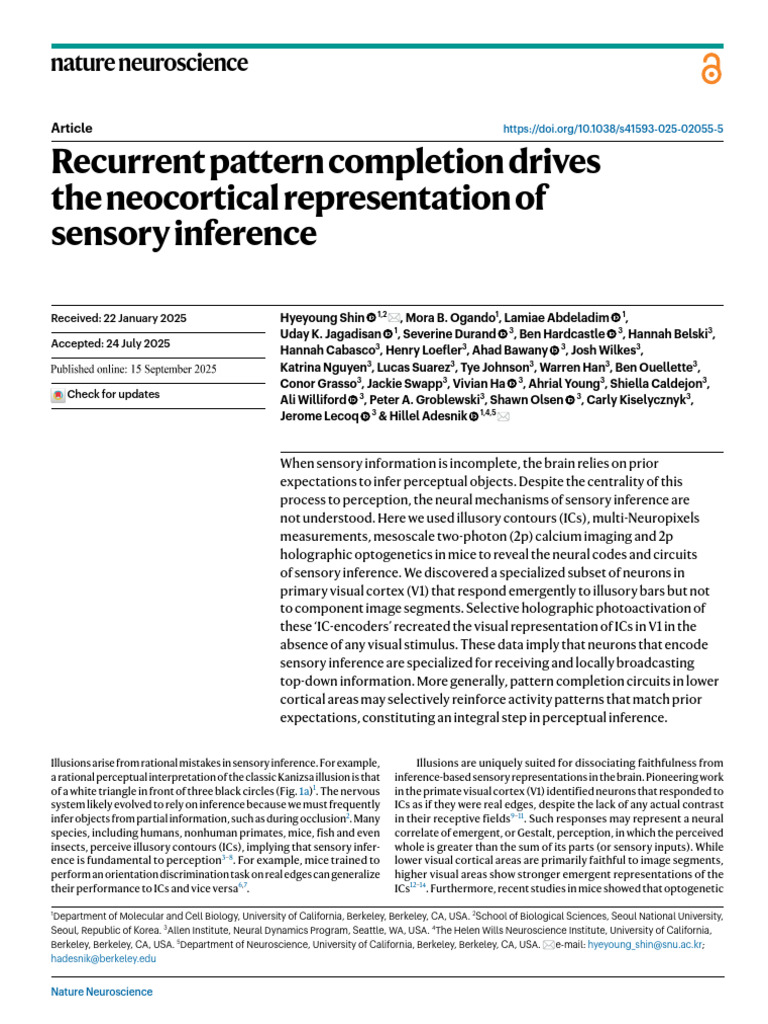 Recurrent Pattern Completion Drives The Neocortical Representation of ...