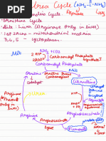 Physiology Rguhs Pyqs | PDF