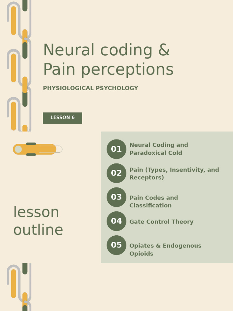 Neural Coding and Pain Perceptions | PDF | Pain | Opioid