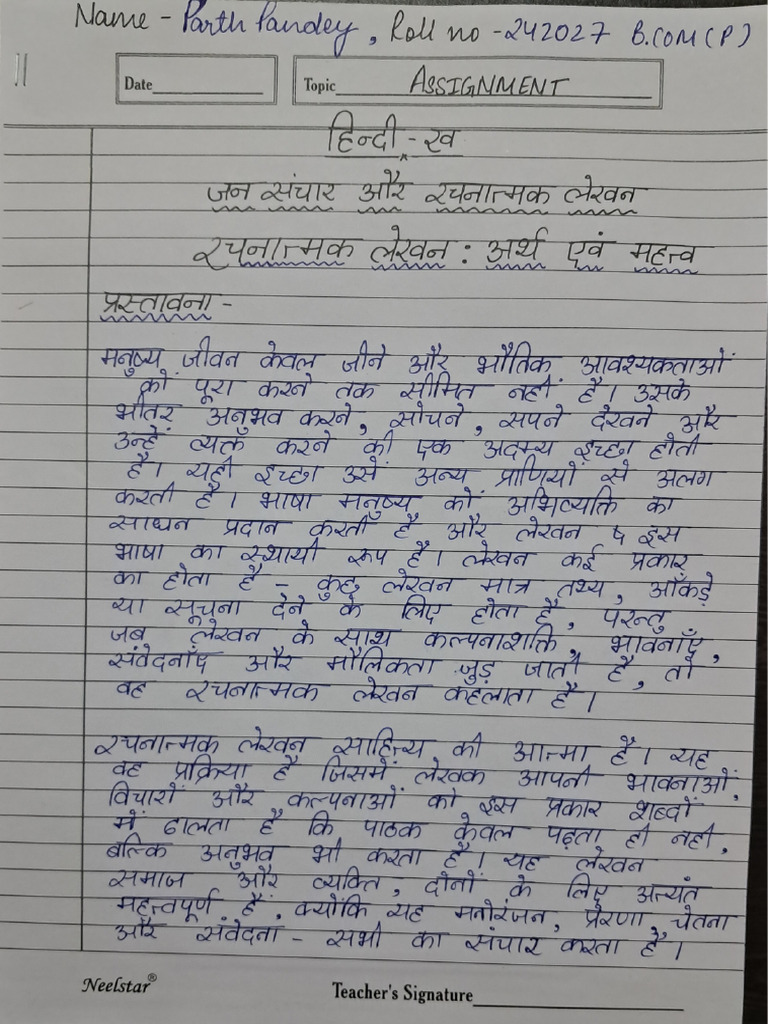 Hindi Assignment | PDF