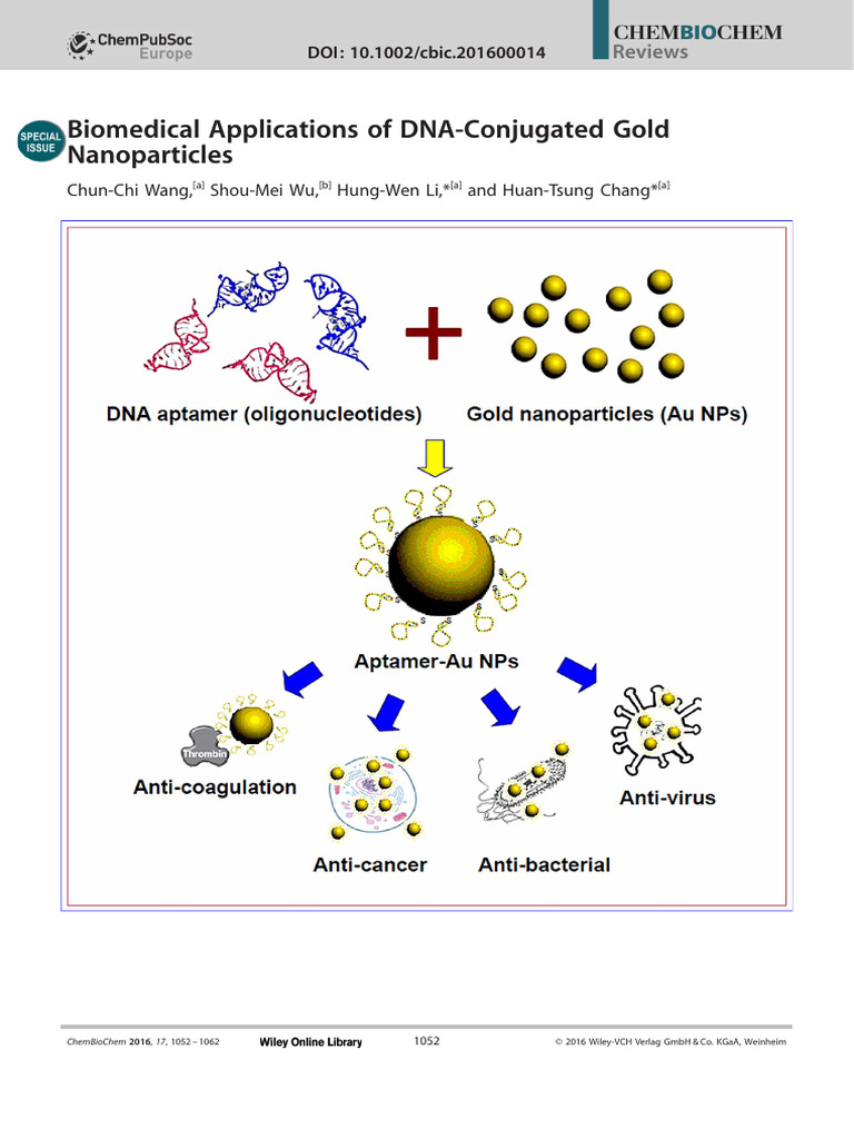 DNA-Gold Nanoparticles in Biomedicine | PDF | Dna | Biology