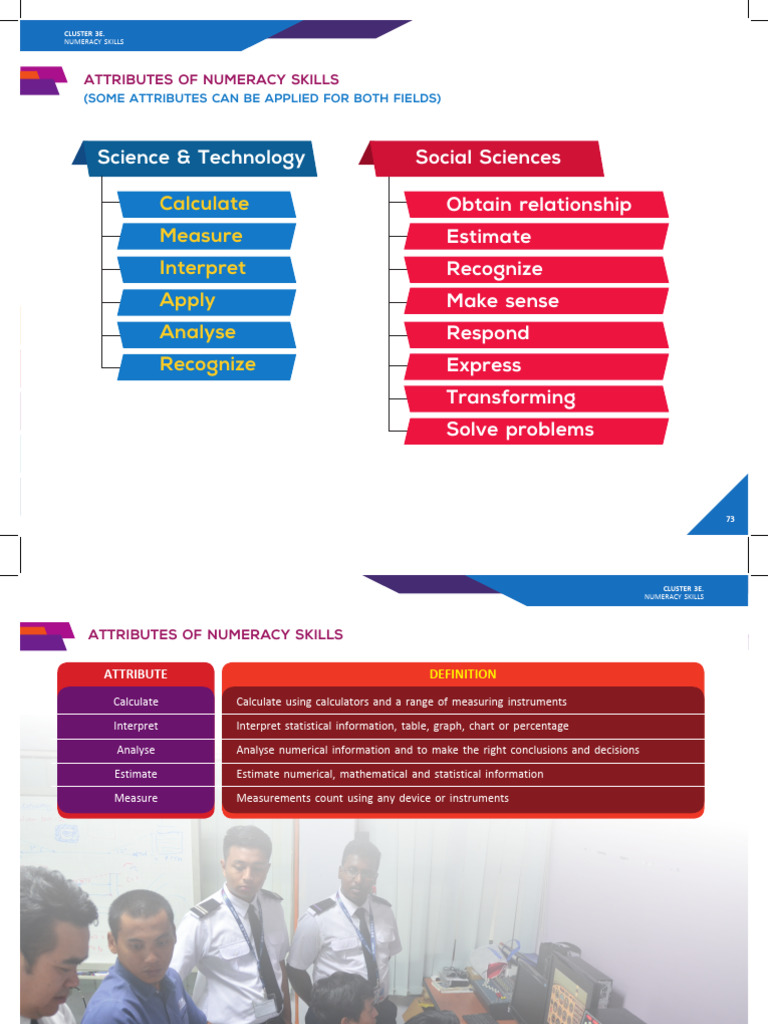 Key Attributes of Numeracy Skills | PDF | Information | Statistics