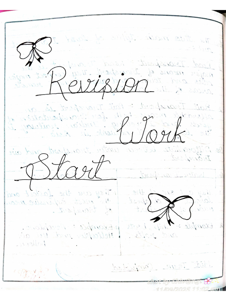 Revision Work of Class 5th S.ST | PDF